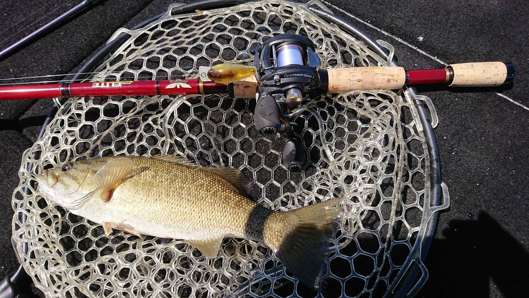 8月21日(日) 檜原湖 fathom EXTREME Purple Eyes ～巻物編～【菊池隆徳様】 | Fishing fathom（ファゾム）