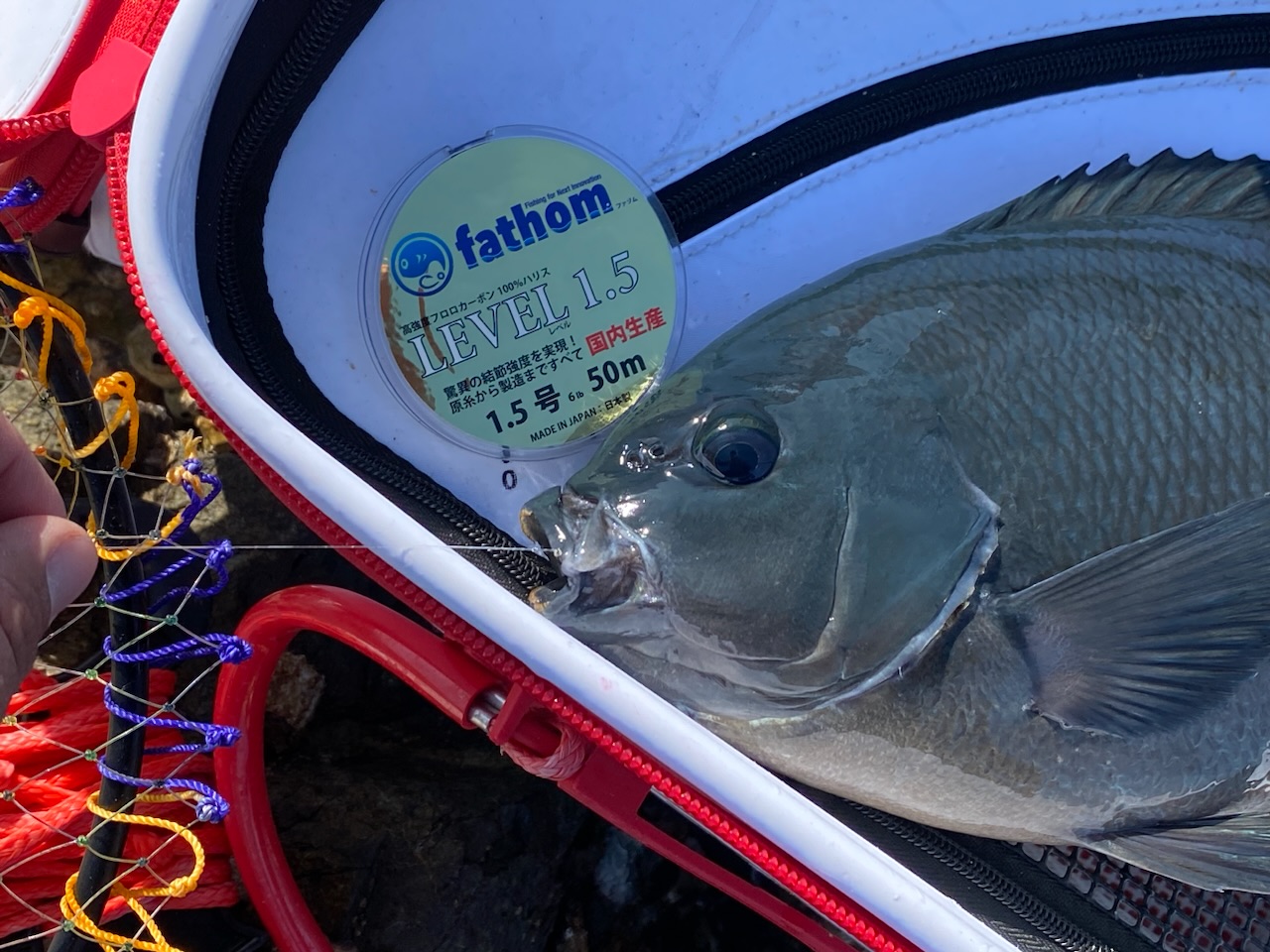 今年もよろしくです！【久保仁志様】 | Fishing fathom（ファゾム）